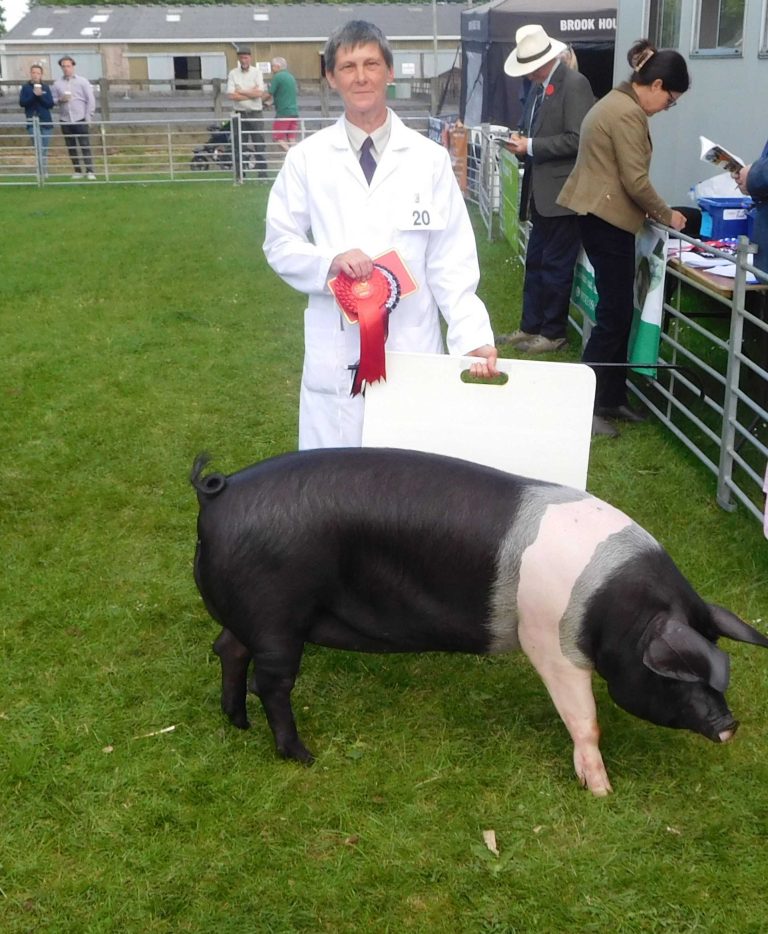 Home - Oaklands Pigs